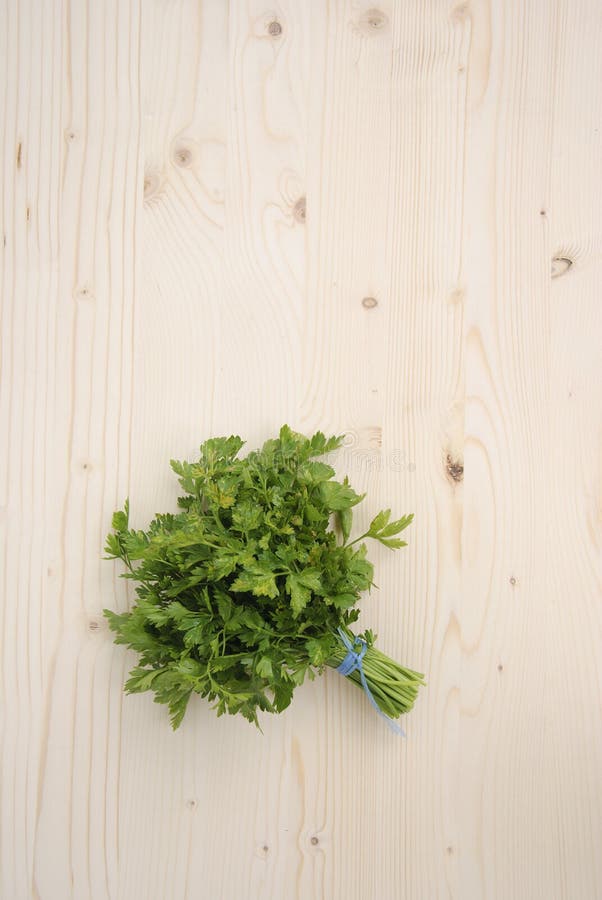 Parsley Background stock image. Image of garden, background - 40896933