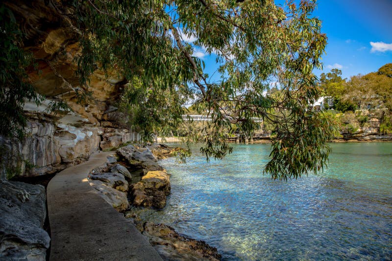 Parsley Bay Beach in Sydney Stock Photo - Image of rocks, nature: 104985552