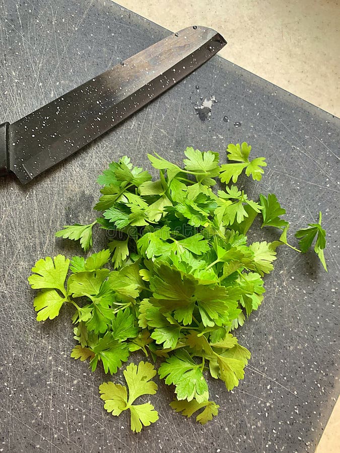 Parsley on a Cutting Board, Knife, Washed Parsley Leaves Stock Photo ...