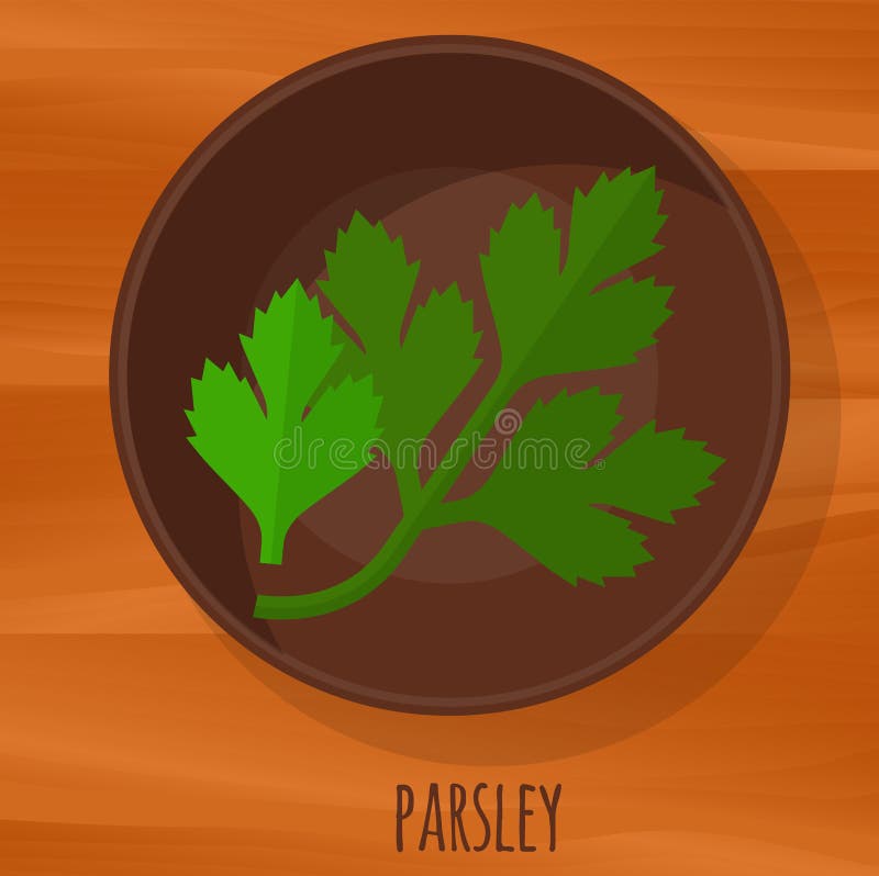 Parsley Flat Design Vector Icon. Stock Vector - Illustration of cuisine ...