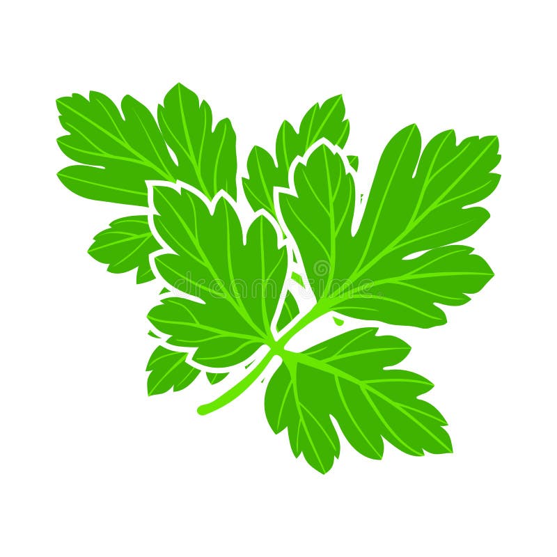 Parsley Icon in Black Style Isolated on White Background. Herb an ...