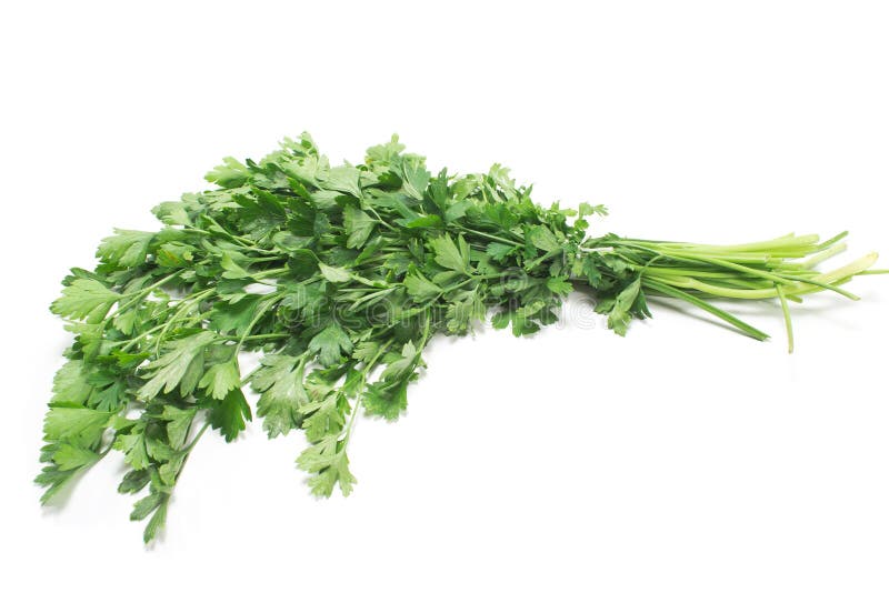 Parsley stock image. Image of organic, flora, food, single - 57958207