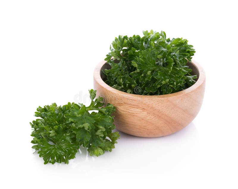 Parsley on a White Background Stock Image - Image of background ...