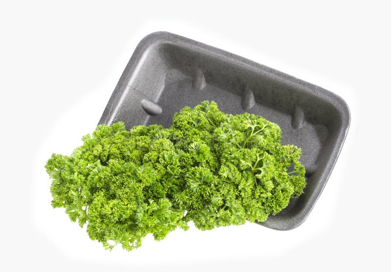 Parsley in Plastic Box or Plate Isolated on White Background Stock ...