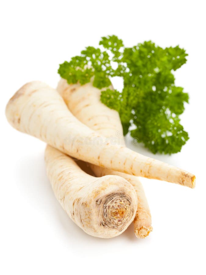 Parsley Vegetable Root on White Stock Photo - Image of nature, leaf ...