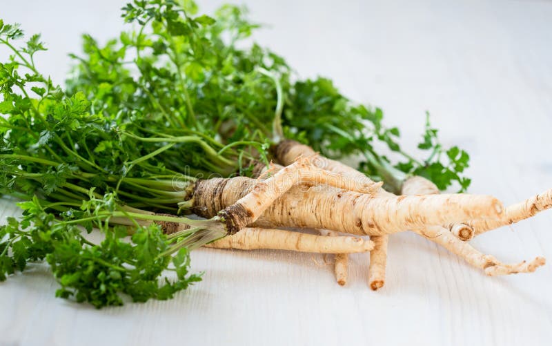 Gardening Image stock image. Image of home, garden, equipment - 15019843