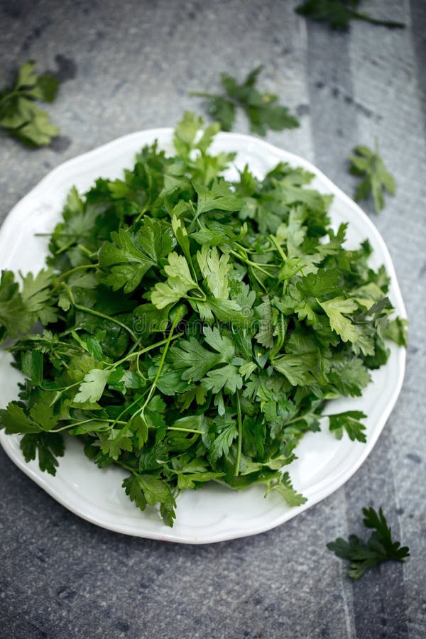 Parsley, top view stock image. Image of delicious, freshness - 115736173