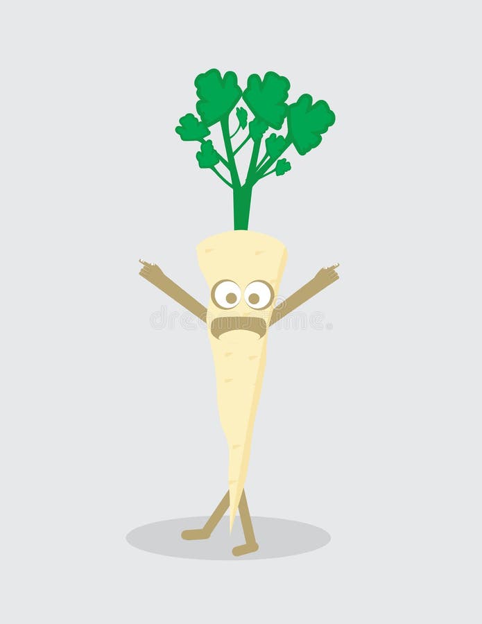 Parsley Root Vegetable Cartoon Illustration Stock Vector - Illustration ...
