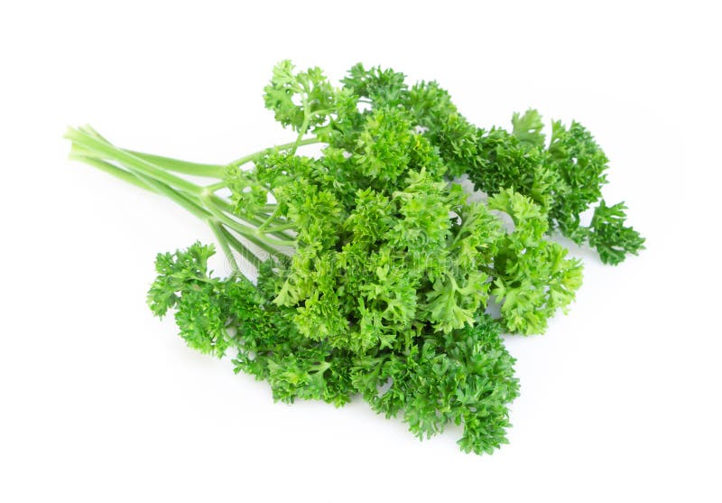 Parsley Vegetable Isolated on White Background Stock Photo - Image of ...