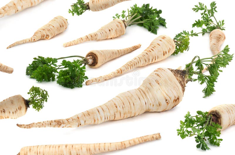 Parsley Vegetable Root on White Stock Photo - Image of nature, leaf ...