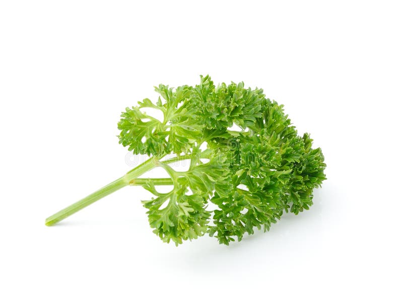 Parsley on White Background Stock Photo - Image of healthy, isolated ...