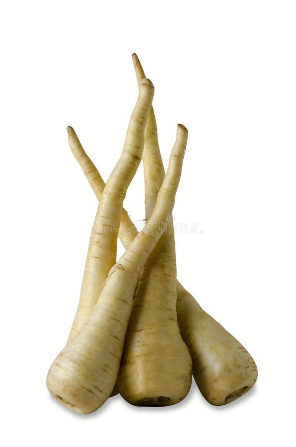 Parsnip stock image. Image of organic, colorful, edible - 28425297