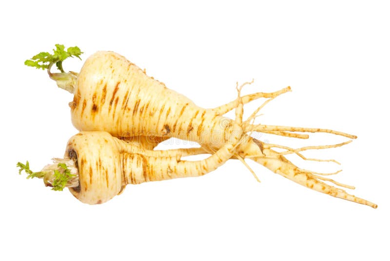 Parsnip stock image. Image of delicious, colourful, parsnip - 8004057