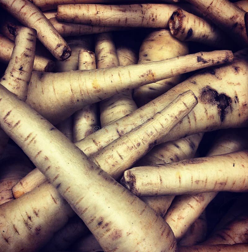 Parsnip Close-Up stock photo. Image of healthy, drink - 34809154