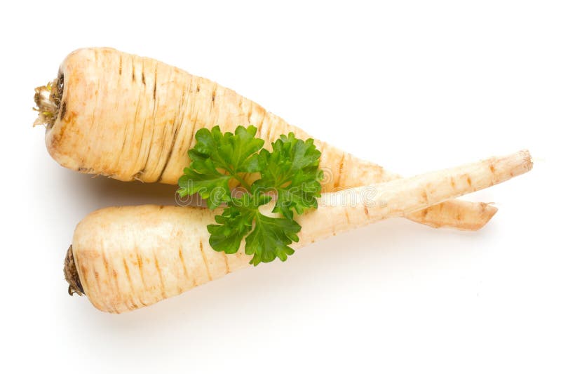 Parsnip Isolated on the White Background. Stock Photo - Image of ...