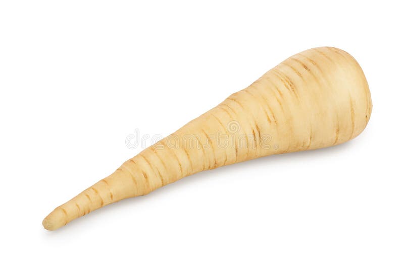 175 Single Parsnip Photos - Free & Royalty-Free Stock Photos from ...