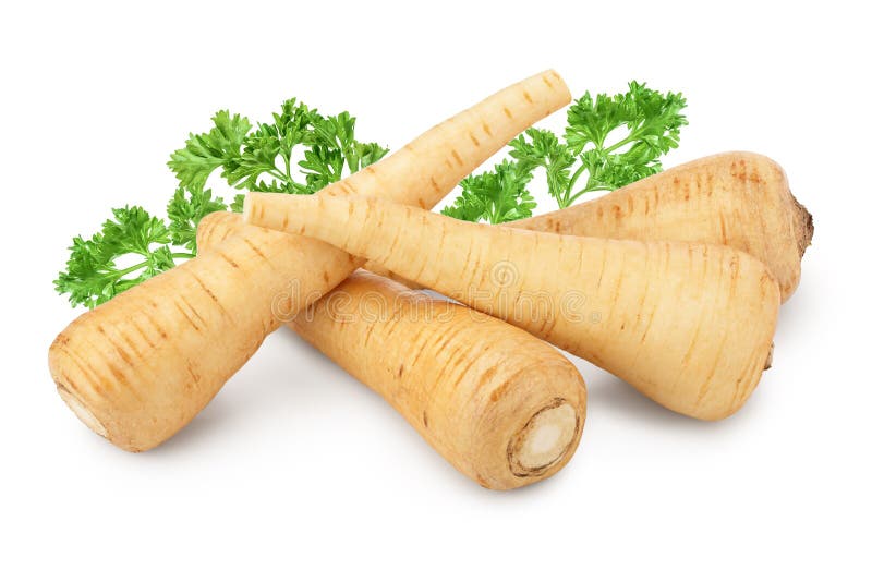 Parsnip Root Slices Isolated on White Background Closeup. Top View ...