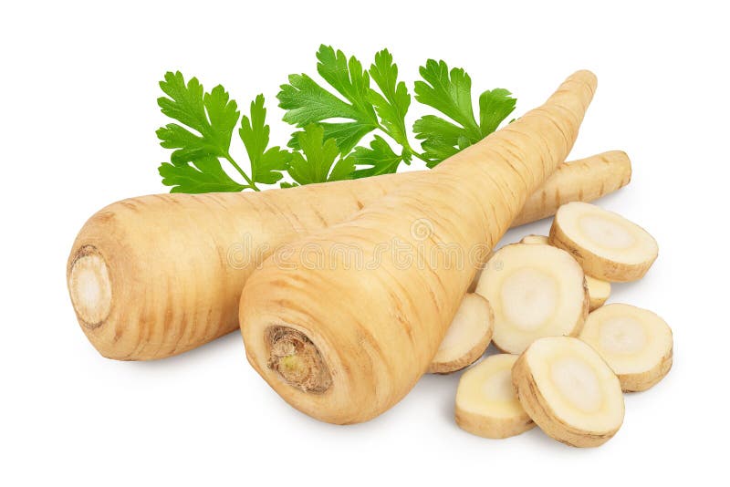 Parsnip Root and Slices Isolated on White Background Stock Photo ...