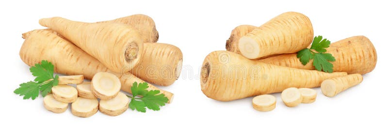 Parsnip Root and Slices with Parsley Isolated on White Background Stock ...