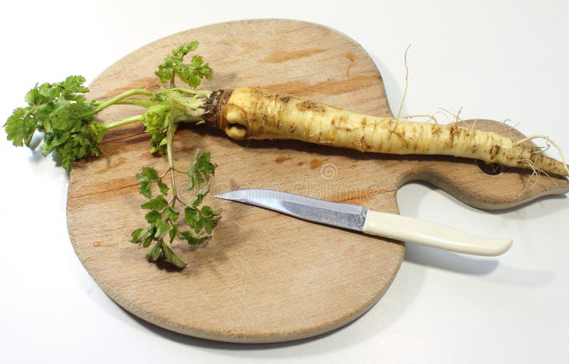 Parsnip stock image. Image of nutritious, macro, produce - 52050949