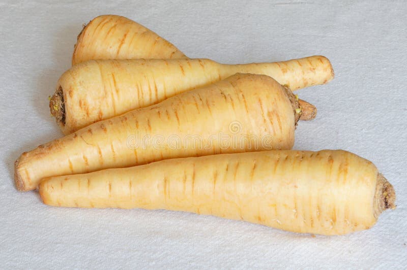 Parsnip Vegetable Roots on White Cloth Stock Image - Image of fish ...