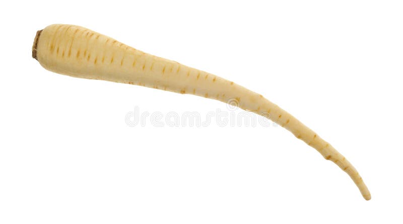 257 Single Parsnip Stock Photos - Free & Royalty-Free Stock Photos from ...