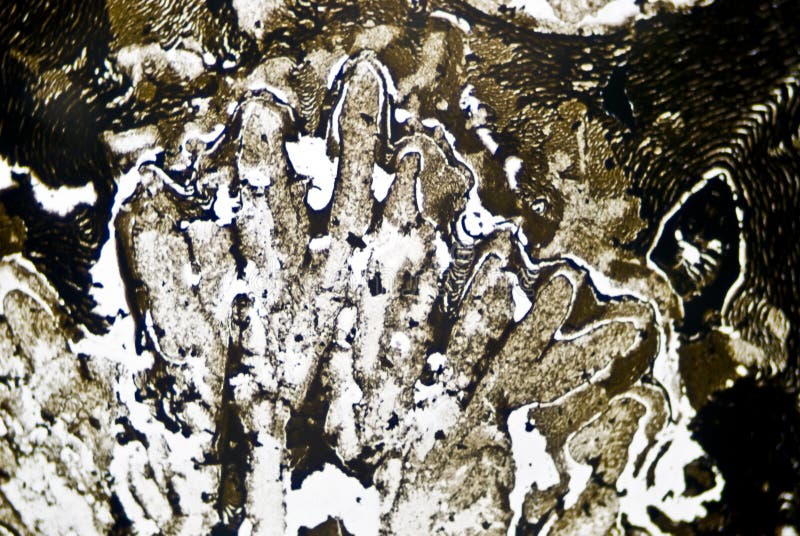 Partículas De Fuligem Microscópicas Foto de Stock - Imagem de pintura ...