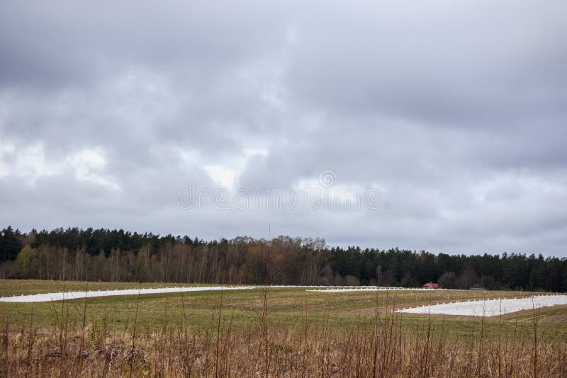 .Part of an Airfield Runway Surrounded by Forest, Against a Cloudy Sky ...
