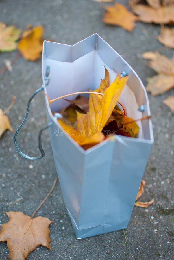 Part of autumn stock image. Image of yellow, package - 26341607