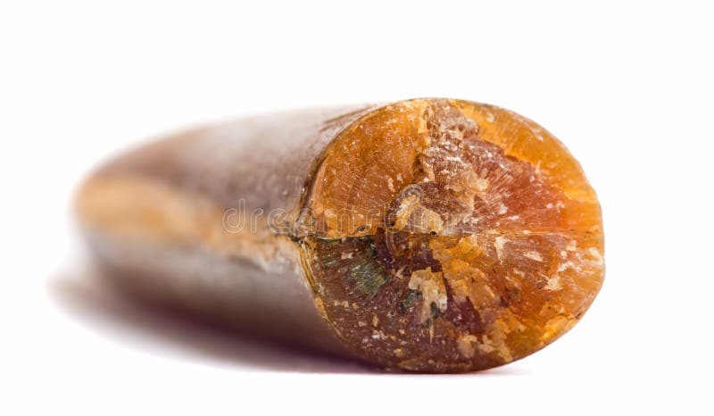 Belemnite stock photo. Image of jurassic, lias, nature - 38167768