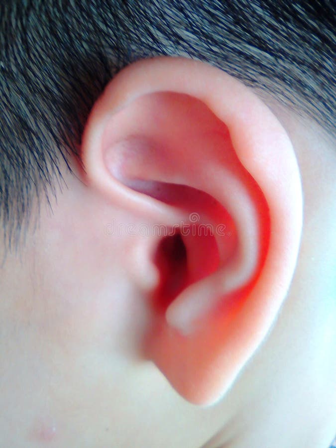 One ear stock image. Image of skin, white, body - 78534627