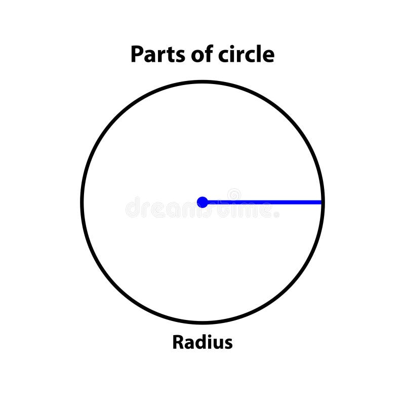 Part of Circle Radius. Highlight in Blue Color Line Stock Vector ...