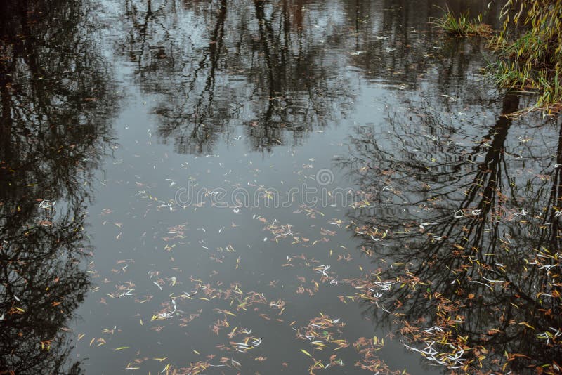 Part of the Decoration of the Facade of the Building and the Material ...