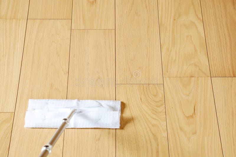 Part of Disposable Wet Paper Mop Head Stock Image - Image of ...