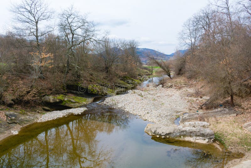 Part of Dry River in the Woods during Spring Stock Photo - Image of ...