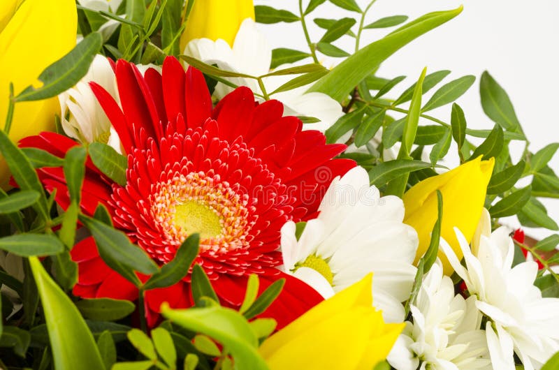 Part of Flower Bouquet, Composition on Light Background Stock Photo ...