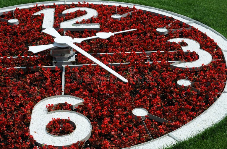 1,333 Clock Face Flower Stock Photos - Free & Royalty-Free Stock Photos ...