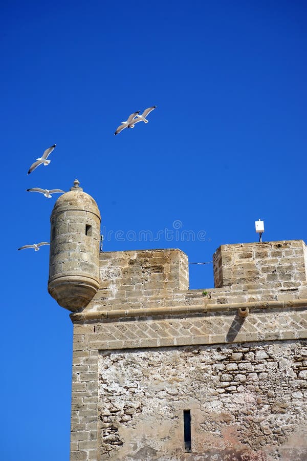 Fort with birds stock image. Image of essouira, bronze - 112256929
