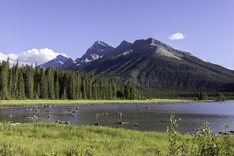 Goat Mountain Range and the Goat Pond Stock Photo - Image of grass ...
