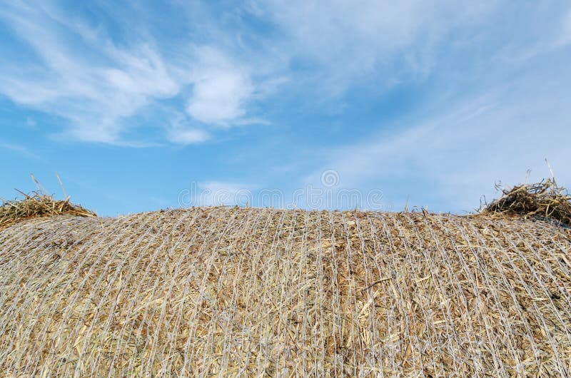 Part of haystack. stock image. Image of pasture, countryside - 20543983