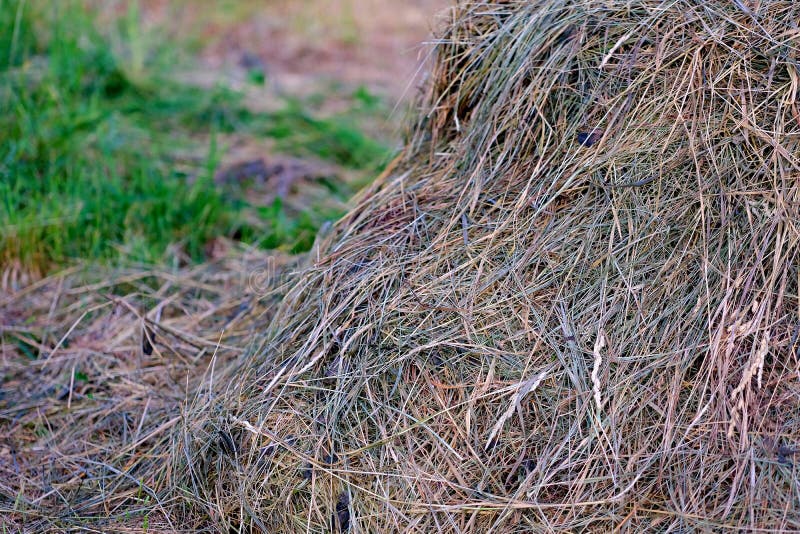 Part of a Haystack, Lots of Straws Stock Image - Image of chease ...