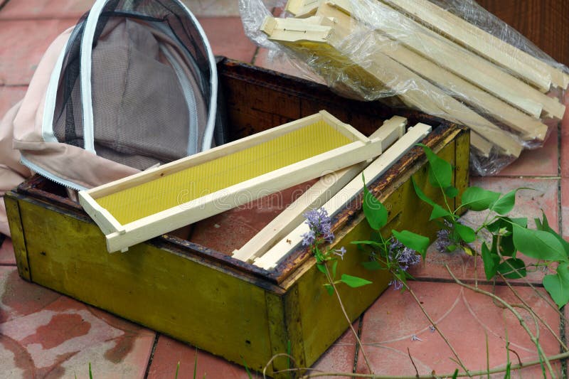 New honey frames stock image. Image of parts, hive, hoby - 220665367