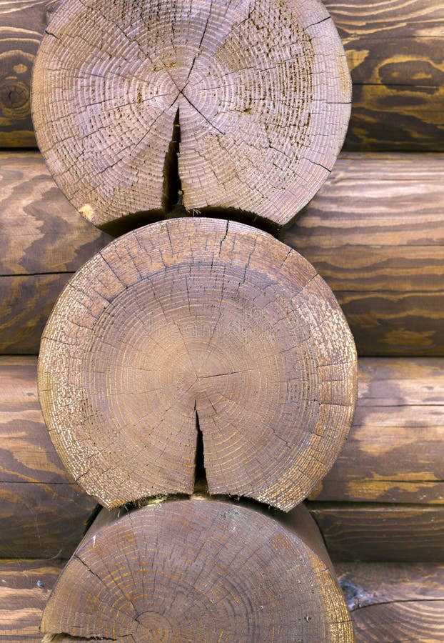 Part of the House of Larch Logs Clearly Stock Photo - Image of rings ...