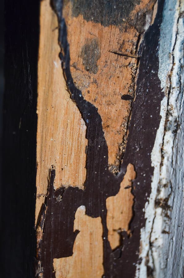 Part of the House Made of Wood that is Eaten by Termites Stock Image ...