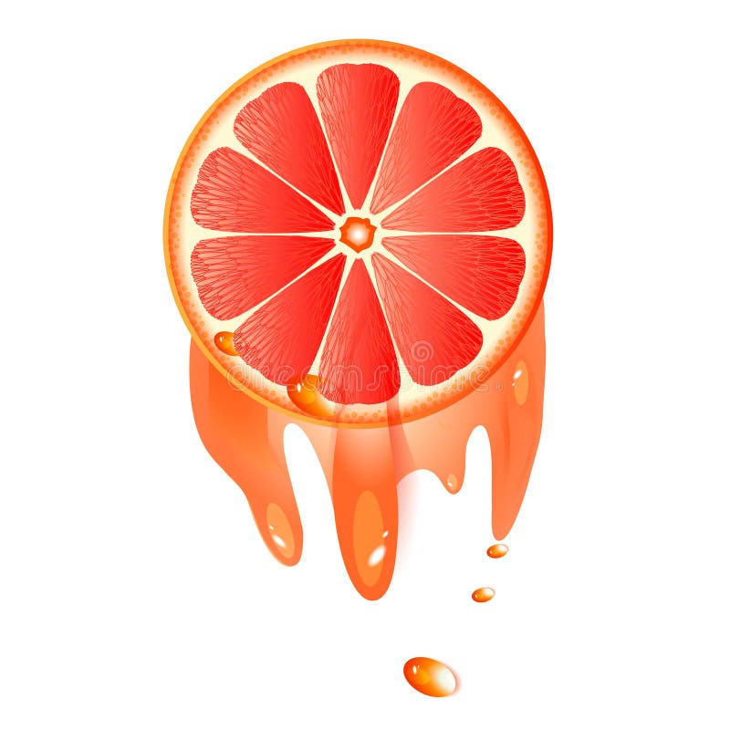 Tranche De Dessin De Pamplemousse Par L'aquarelle Illustration de ...