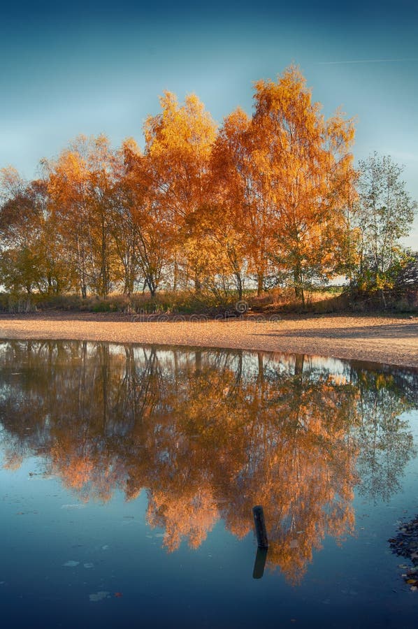 Reflection of Trees and Clouds in Slightly Frozen Water Stock Photo ...