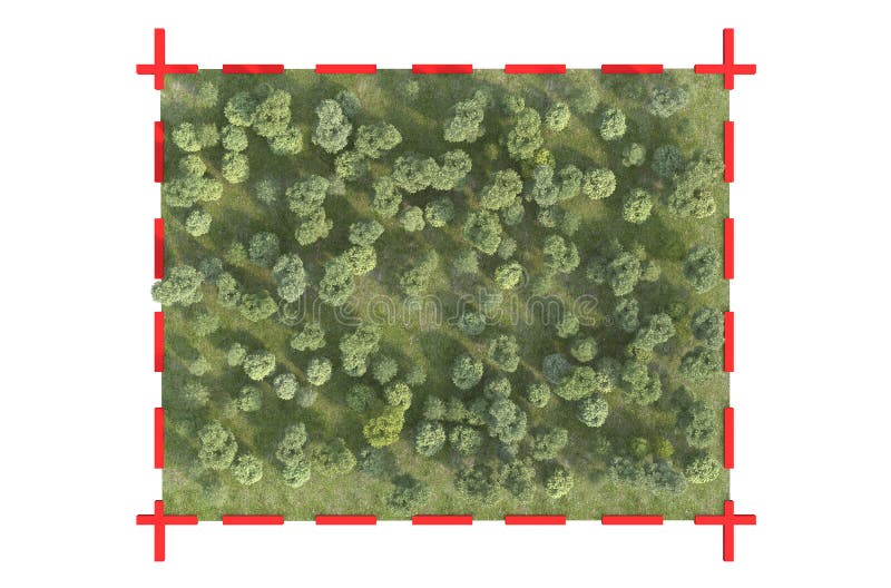 Trees Top View Vector Set For Landscape Design And Map Stock Vector ...