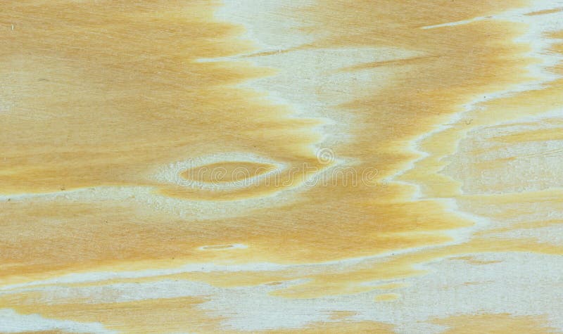 Part of Larch Tree Wood Texture Stock Image - Image of light, grain ...