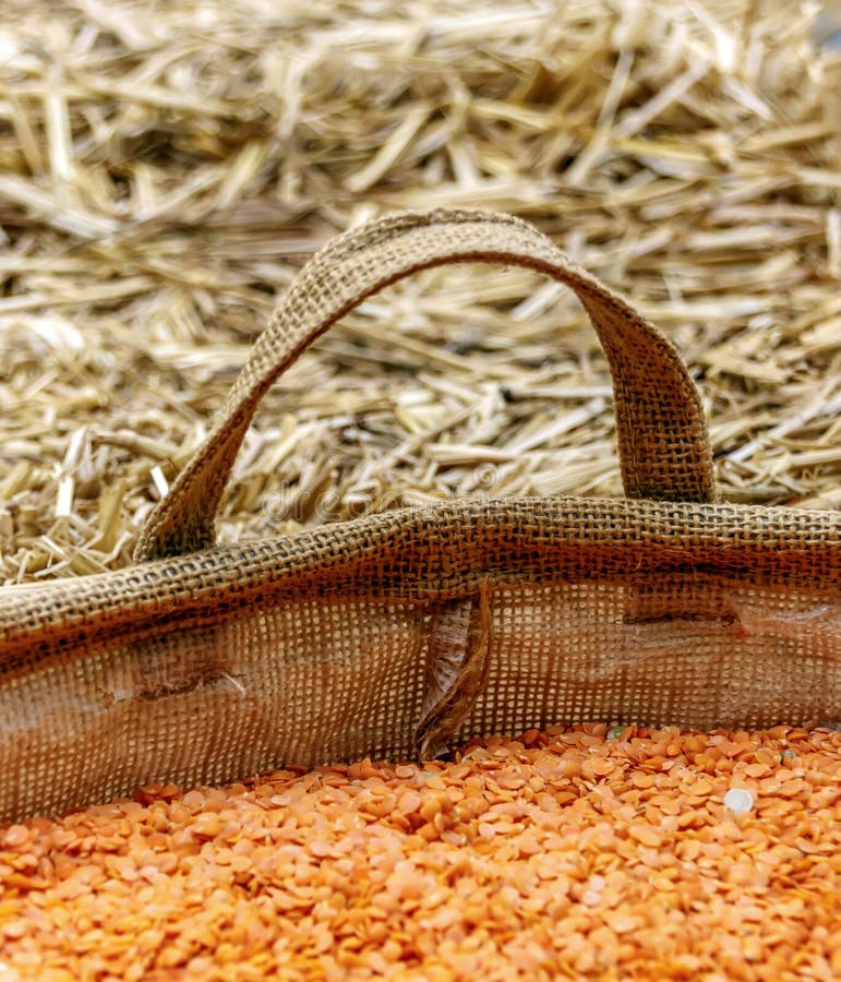 Large Burlap Sacks Stacked in Warehouse with Rice Spill on Floor Stock ...
