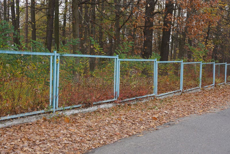 Part of Long Metal Made of Green Mesh Stock Image - Image of park ...